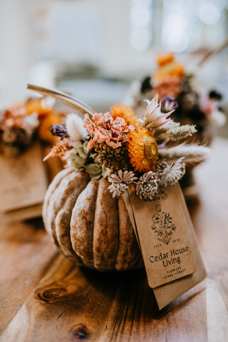 Dried Botanical Pumpkins – Cedar House Living LLC